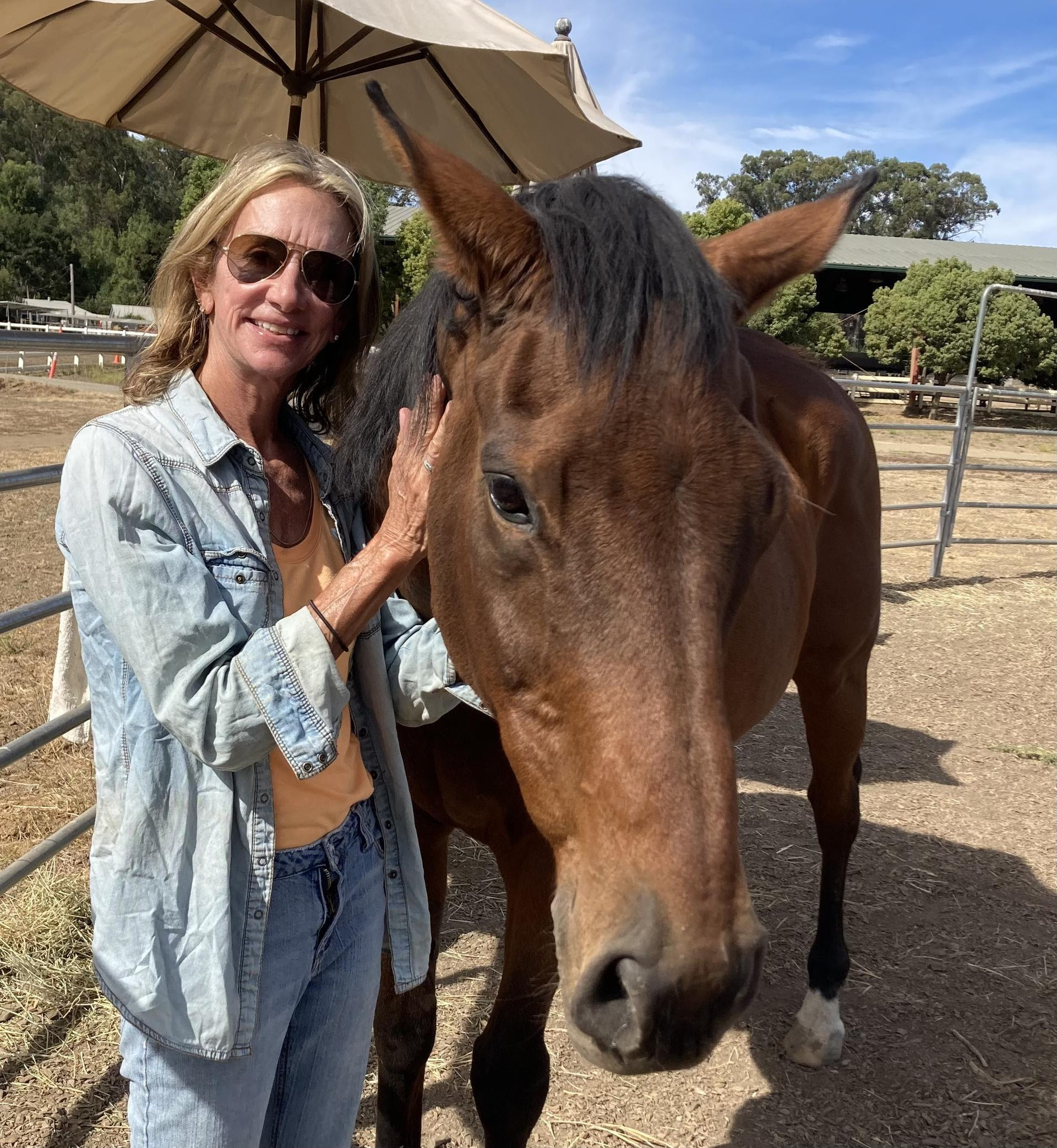 Equine Insight with Judy Weston-Thompson - Nancy's List